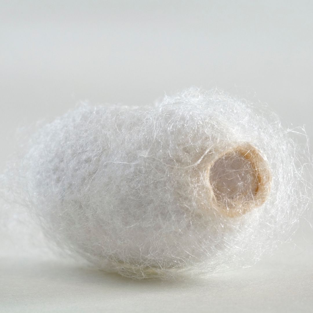 Silk Production Process